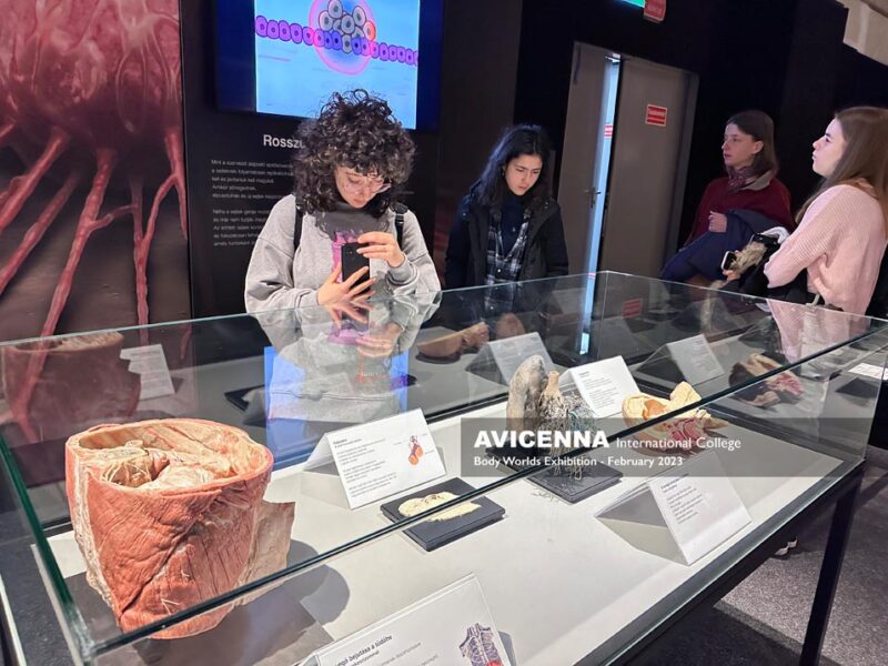 AIC’s International High school students attended BODY WORLDS ...