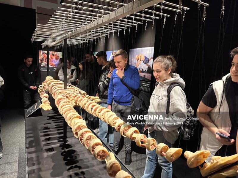 AIC’s International High school students attended BODY WORLDS ...