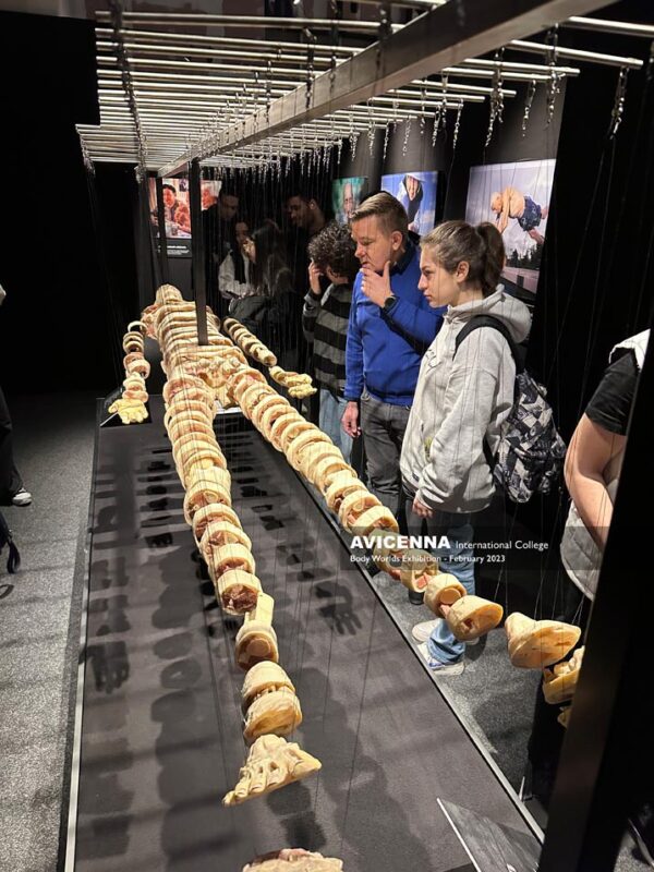 AIC’s International High school students attended BODY WORLDS ...